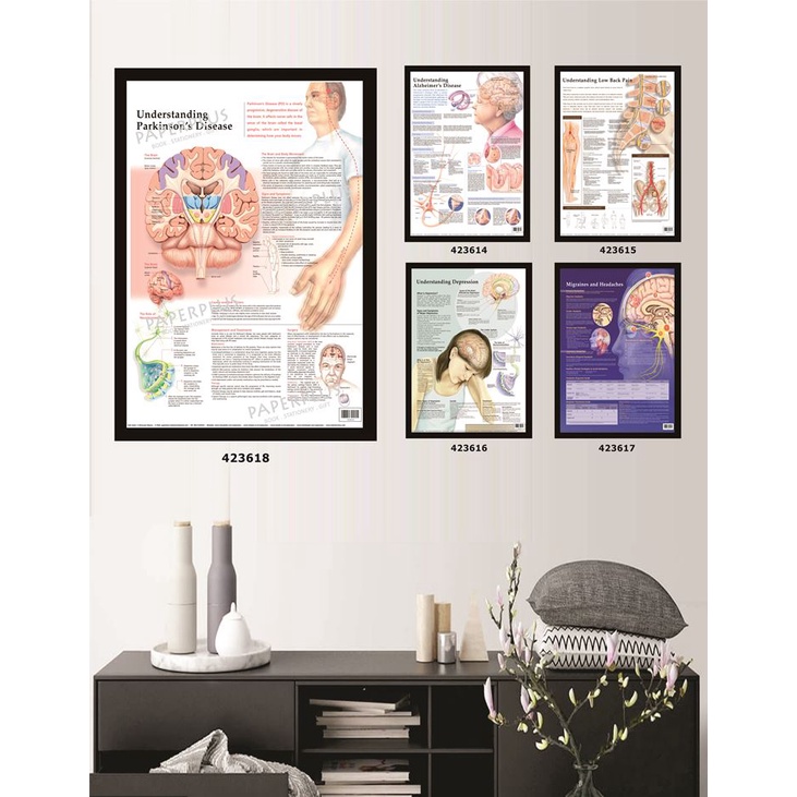 Jual Poster Kedokteran / Kesehatan / Understanding Pakinson'S Disease / 79 | Shopee Indonesia