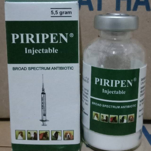 Jual PIRIPEN 5.5GRAM PEN STREP SERBUK PYRIDAM OBAT HEWAN SAKIT ARTHRITIS MASTITIS INFEKSI ...