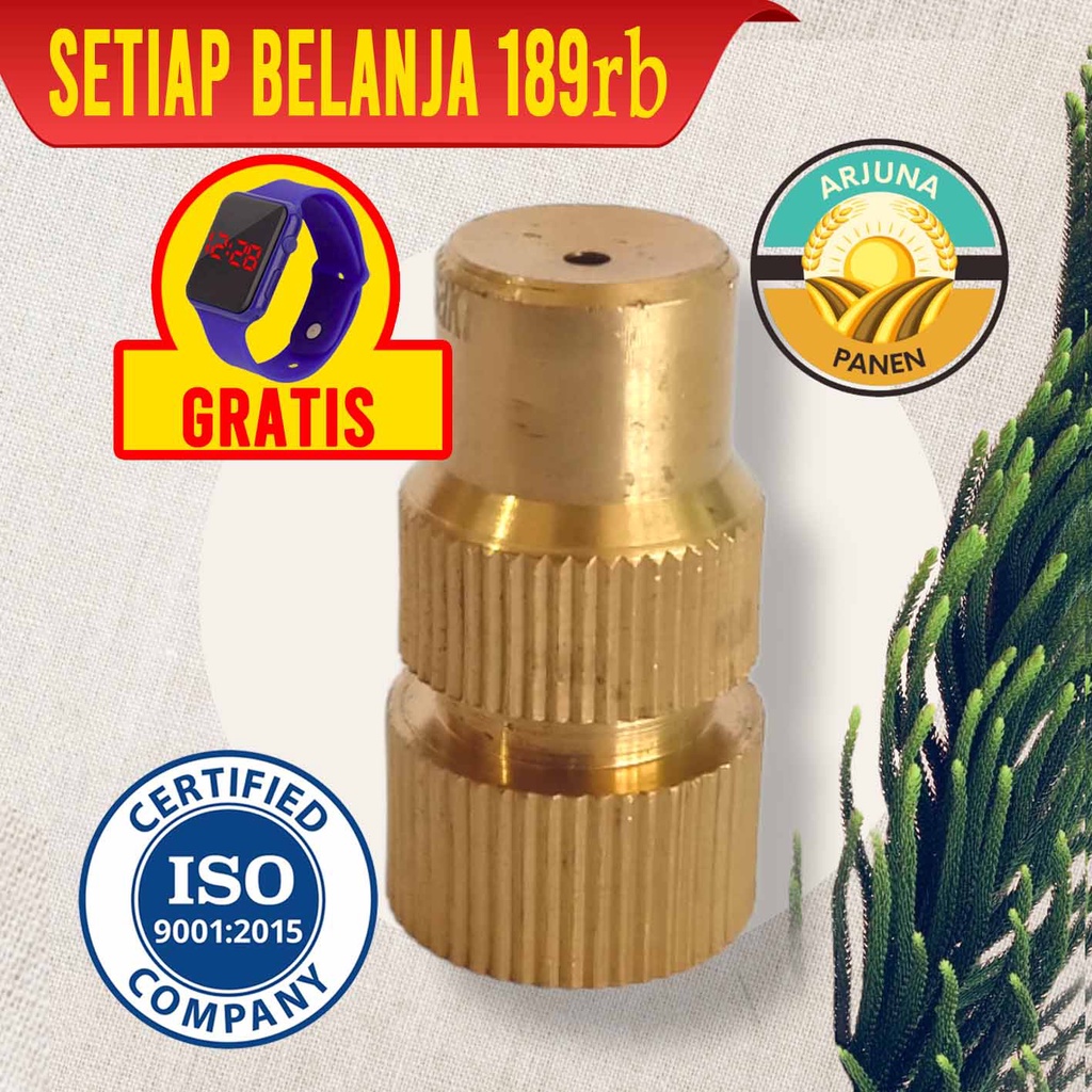 Jual Spuyer Nozzle Kuningan Lubang Satu Sprayer Elektrik Alat Tengki ...