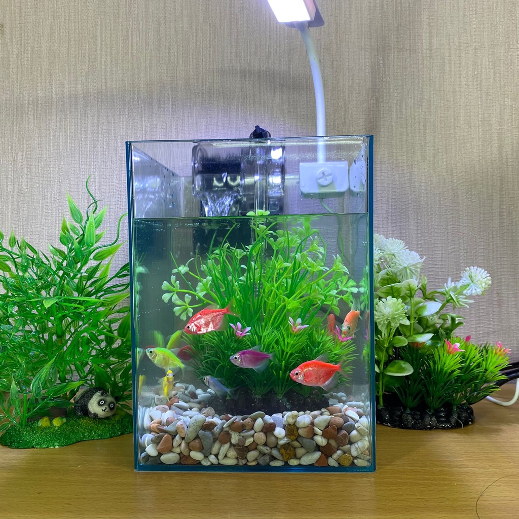 Jual Aquarium Desktop Aquarium Cupang Aquarium mini Aquascape ...