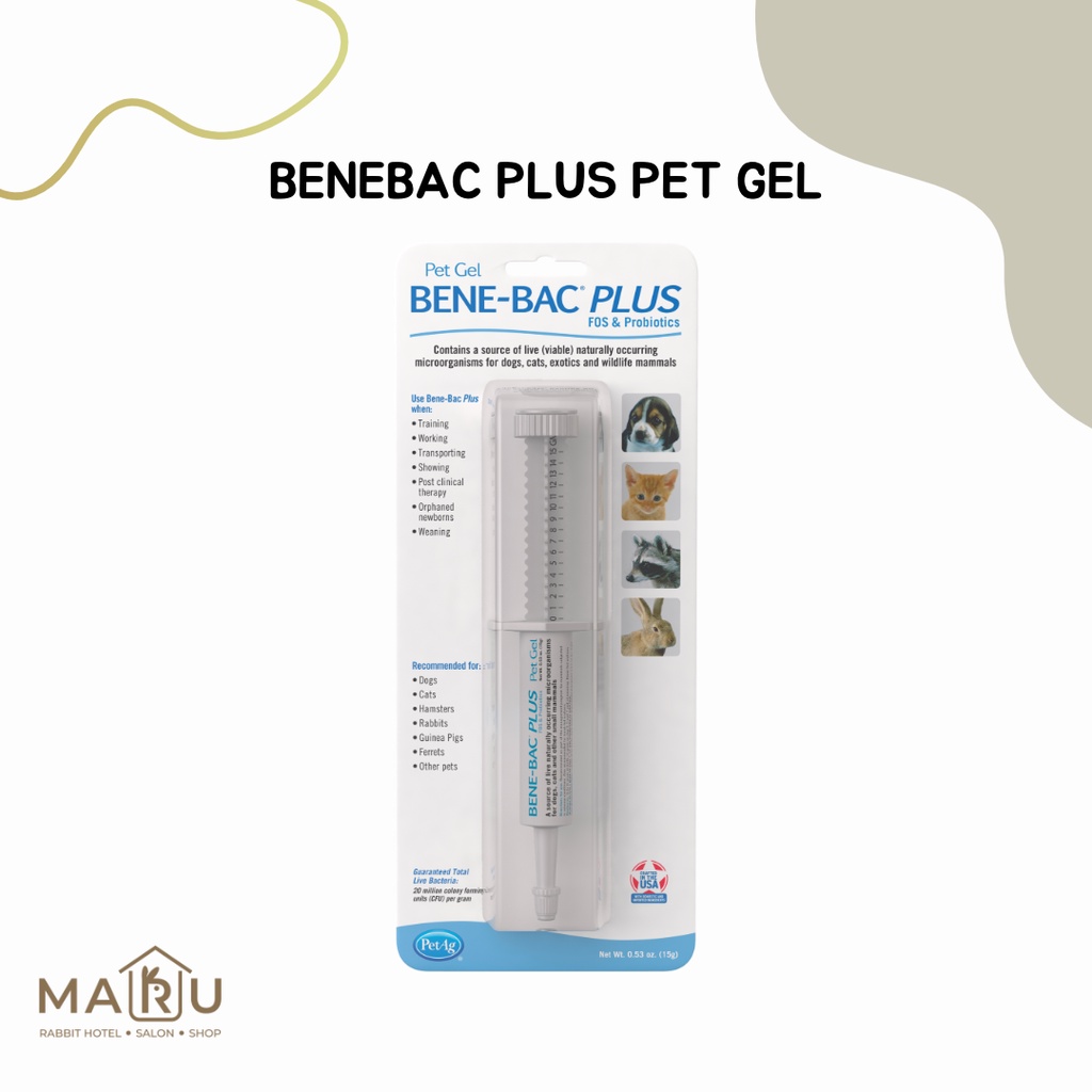 Jual BENEBAC PLUS PET GEL 15GR | Shopee Indonesia