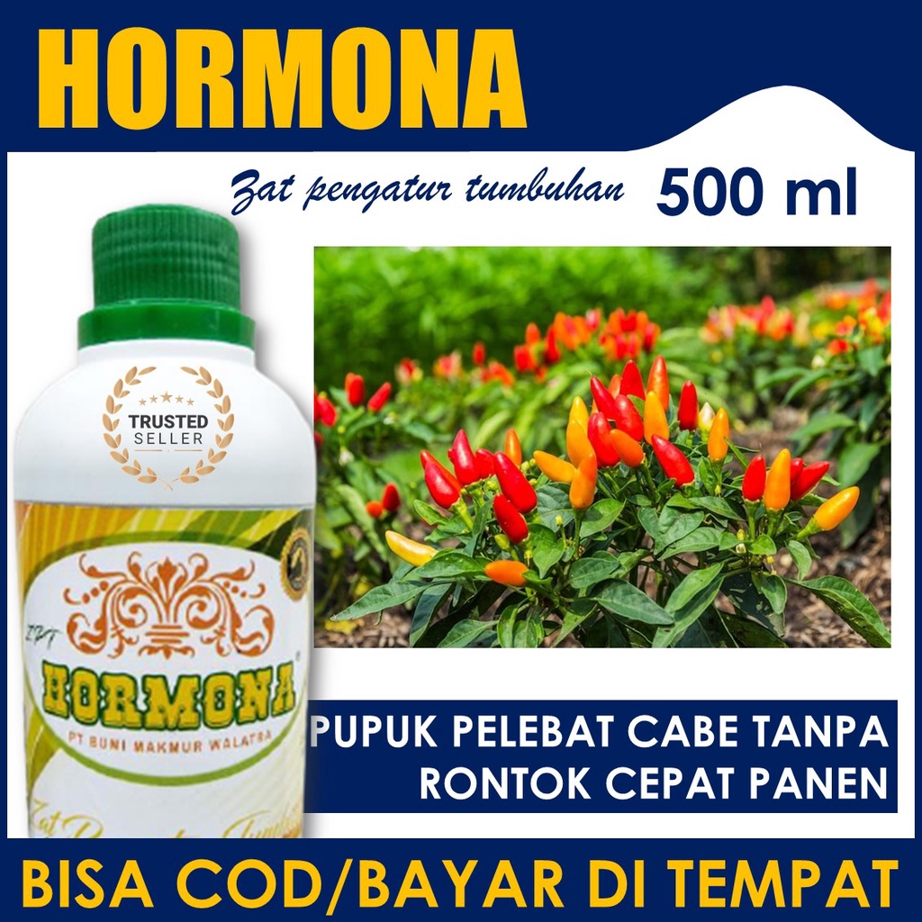 Jual Pupuk ZPT HORMONA 500ml Merangsang Buah Bunga Perkecambahan, Akar ...