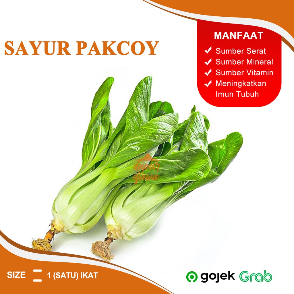 Jual SAYUR SAYURAN PAKCOY SAWI SENDOK MAKANAN SEGAR FRESH SEHAT BEKU ...