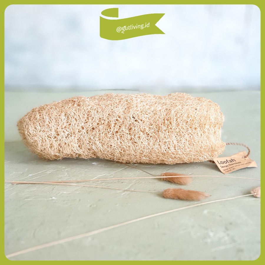 Jual Loofah Gambas Fiber Natural Sponge Exfoliating | Shopee Indonesia