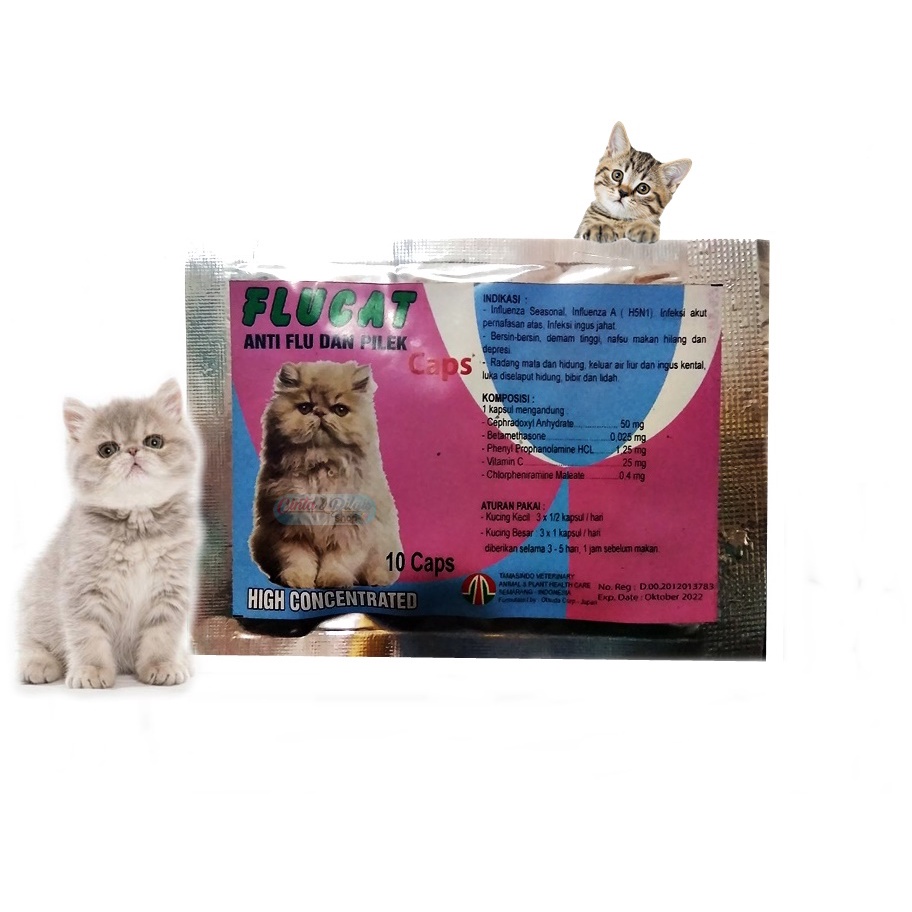 Jual OBAT KUCING PILEK FLU CAT KUCING INGUSAN FLUCAT - KEMASAN SACHET ...