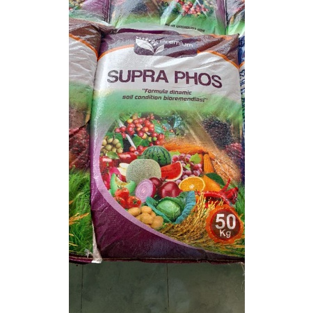 Jual pupuk supraphos 1kg Repack pupuk sp pupuk phospate fertiphos hijau ...