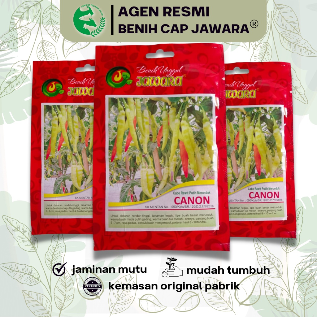 Jual 10 gram Benih Cabe Rawit Putih CANON Merunduk Kemasan asli JAWARA ...