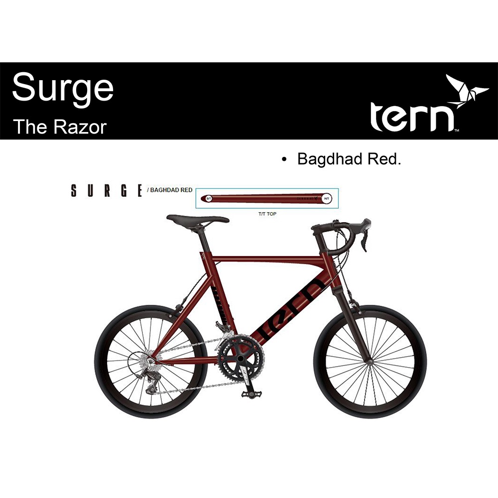 Jual Tern Surge [22 inch] Sepeda Classic Japanese Minivelo 8 Speed - 52Cm | Shopee Indonesia