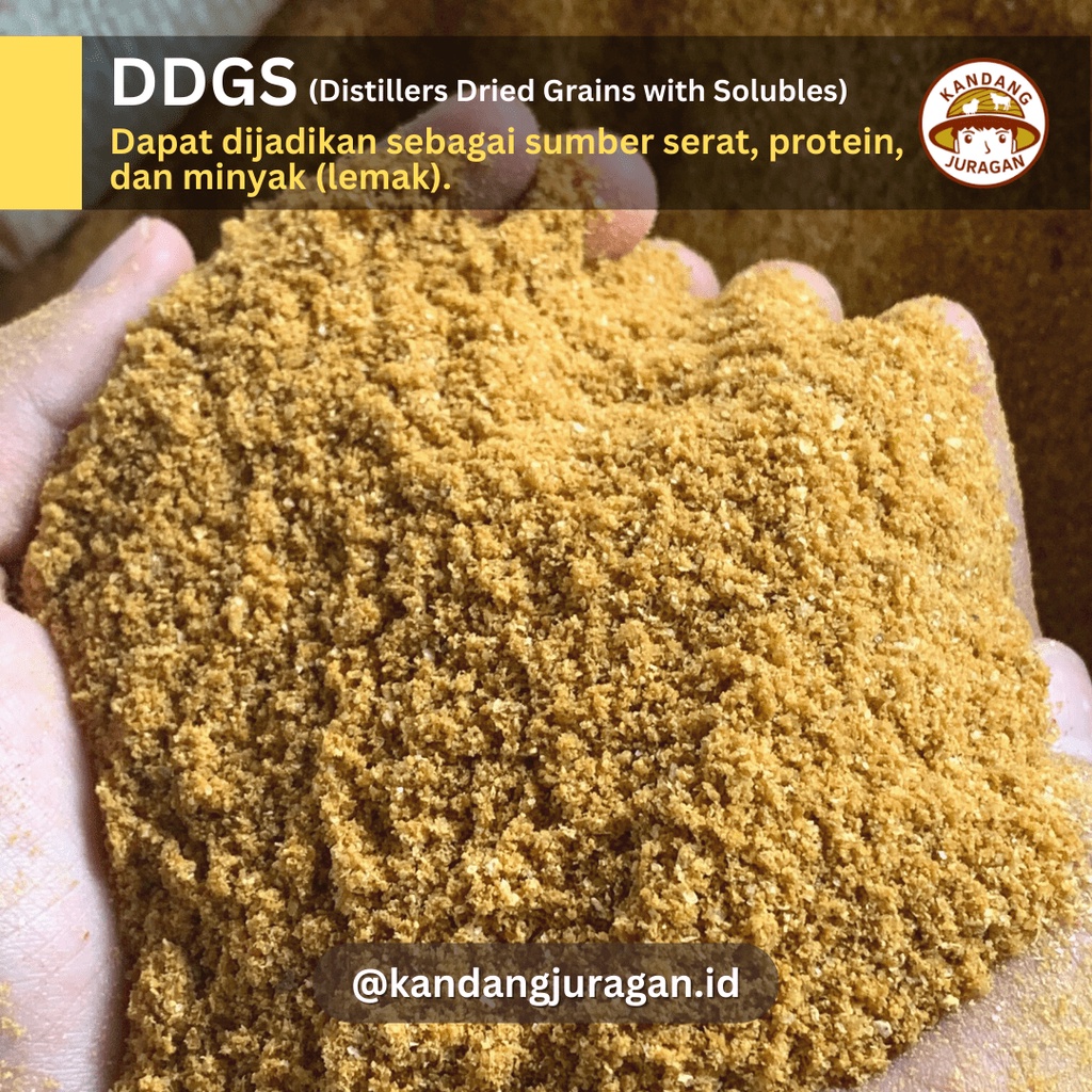 Jual DDGS Jagung 10Kg (Pakan Ternak) | Shopee Indonesia