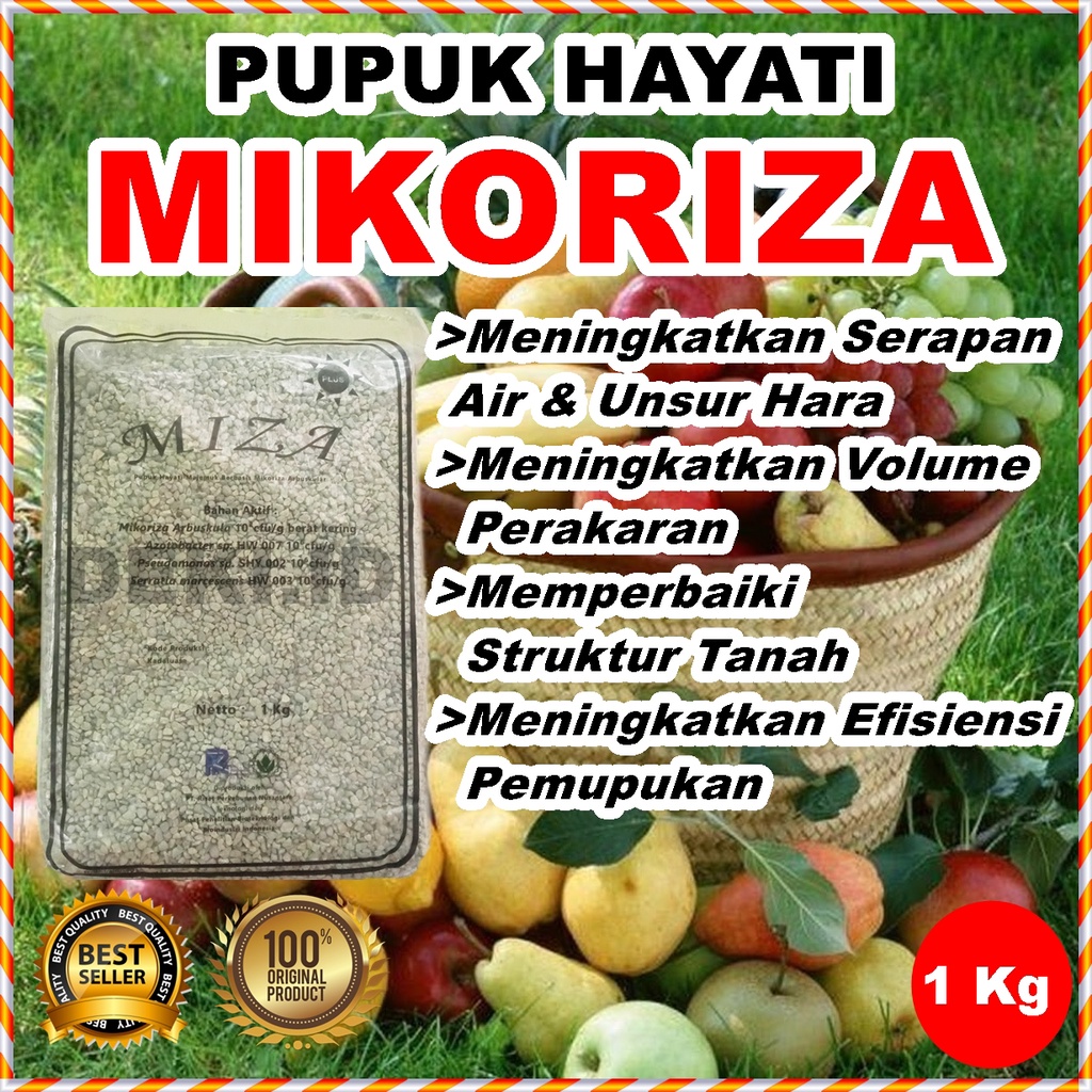 Jual Mikoriza Arbuskula Miza Plus 1 kg Pupuk Hayati Fungisida Organik ...