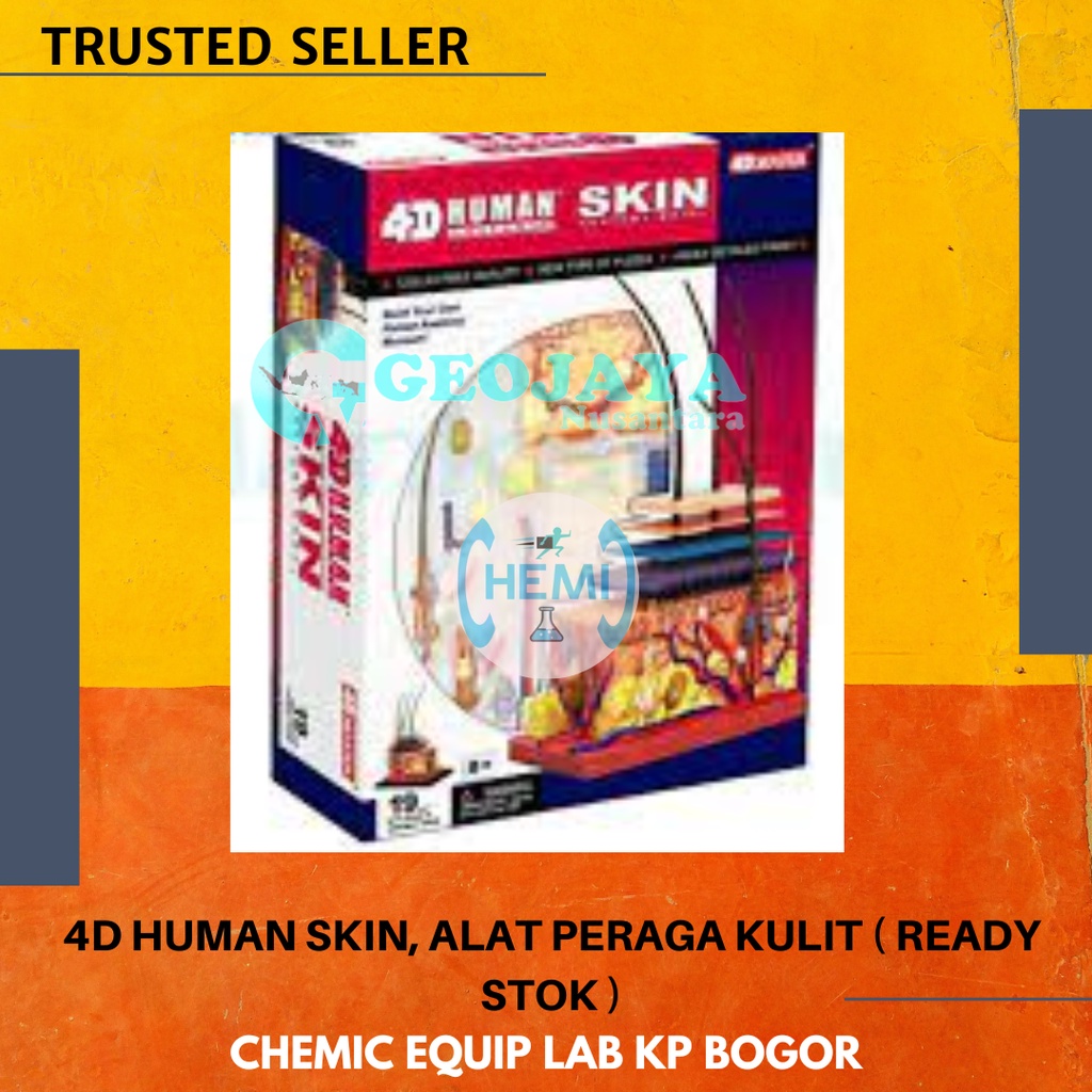 Jual 4D HUMAN SKIN, ALAT PERAGA KULIT ( READY STOK ) | Shopee Indonesia
