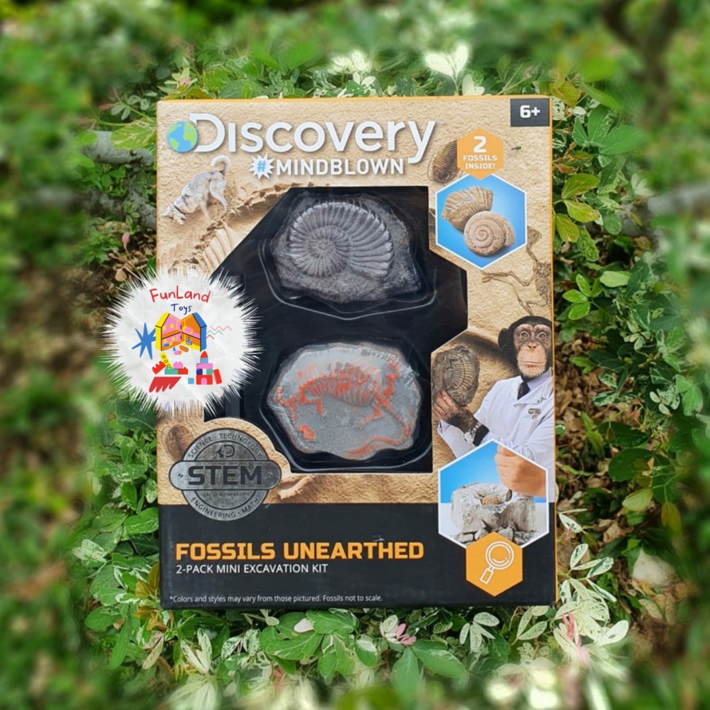 Jual Discovery Mindblown Fossils Unearthed Mini Excavation Kit 2pack ...