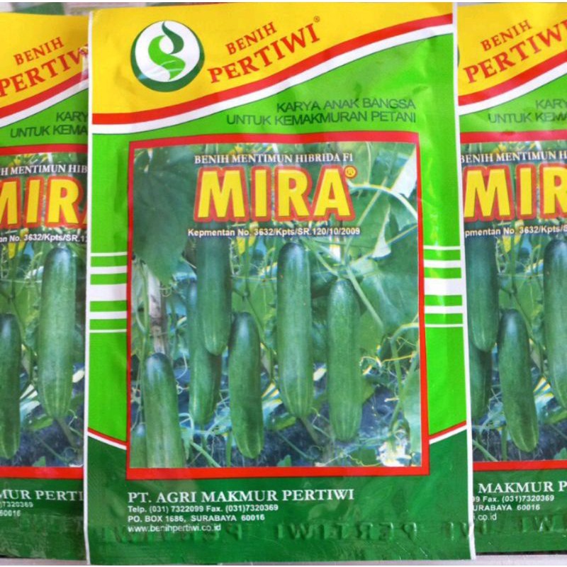 Jual Benih Timun Hibrida F1 Mira 25 gram Benih Pertiwi | Shopee Indonesia