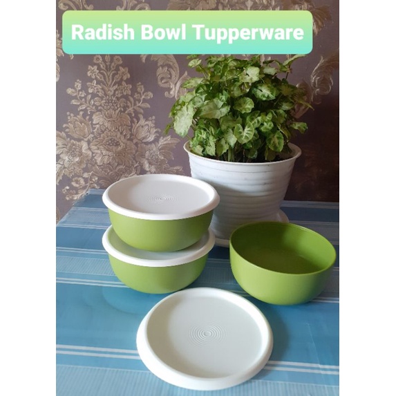 Jual Radish Bowl Tupperware (1pcs) | Shopee Indonesia