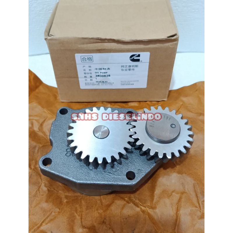 Jual Pompa Oli Cummins 6CT 6CTA 8.3 Oil Pump Assy 3800828 / 3949071 ...