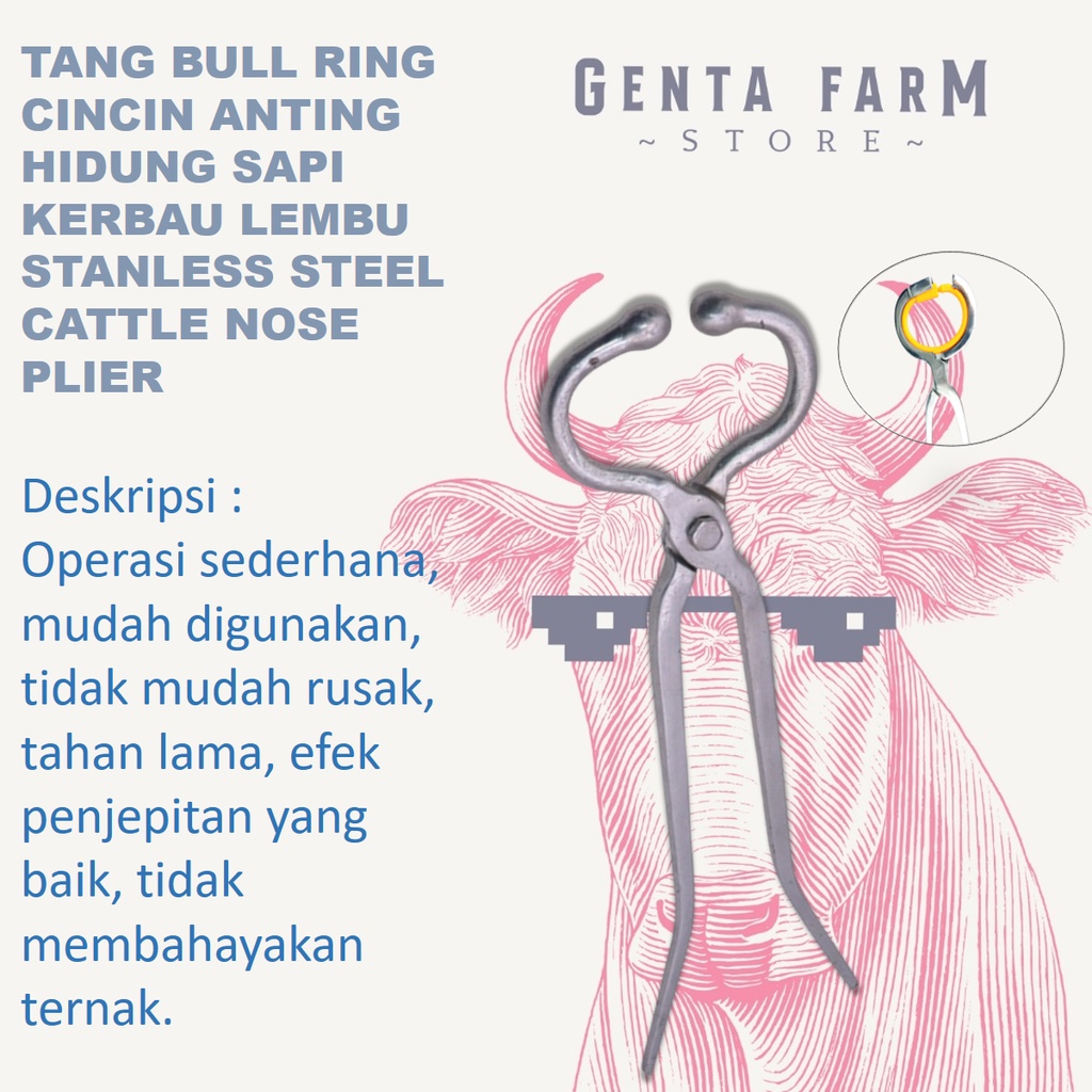Jual Tang Bull Ring Cincin Anting Hidung Sapi Kerbau Lembu Stanless ...