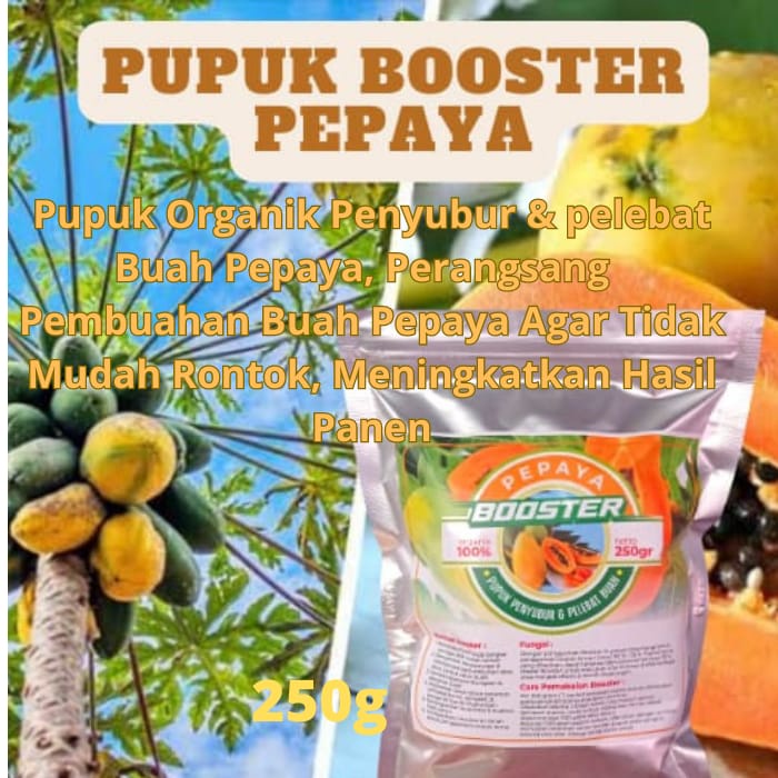 Jual Pupuk Pelebat Buah Pepaya Organik dan Booster Perangsang Pepaya Agar Cepat Berbuah Lebat ...