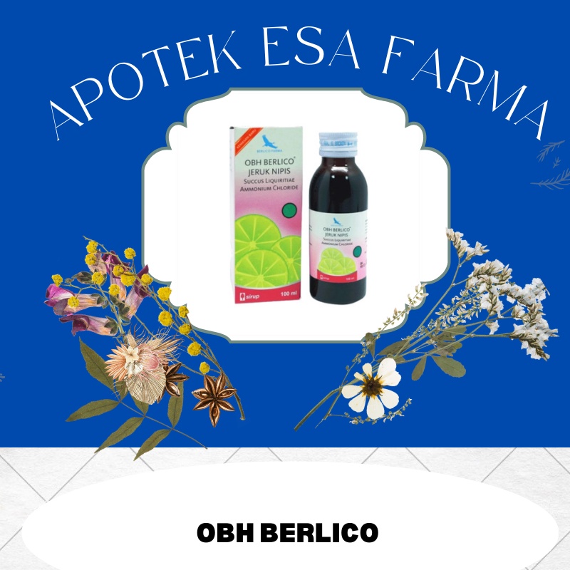 Jual OBH Jeruk Nipis Kaca 100 ml Sirup Obat Batuk Berdahak Syrup ...