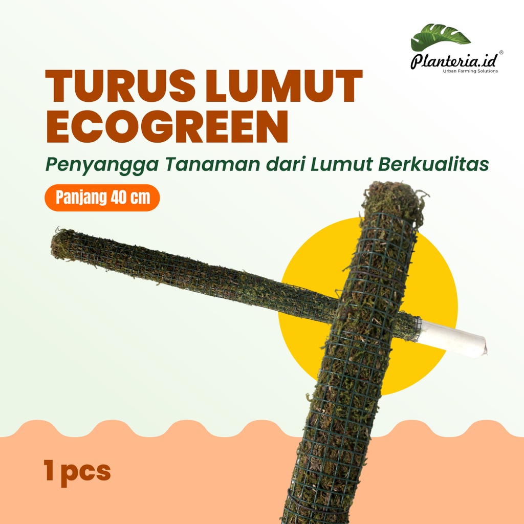Jual Turus Tanaman Rambatan Turus Lumut Turus Tiang Penyangga by Bitan ...