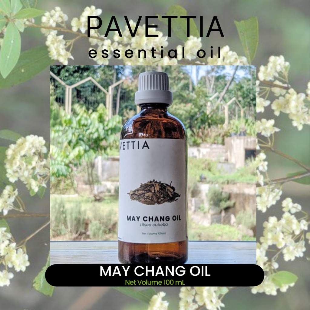 Jual 100 ml - May chang essential oil / minyak atsiri kilemo - krangean ...