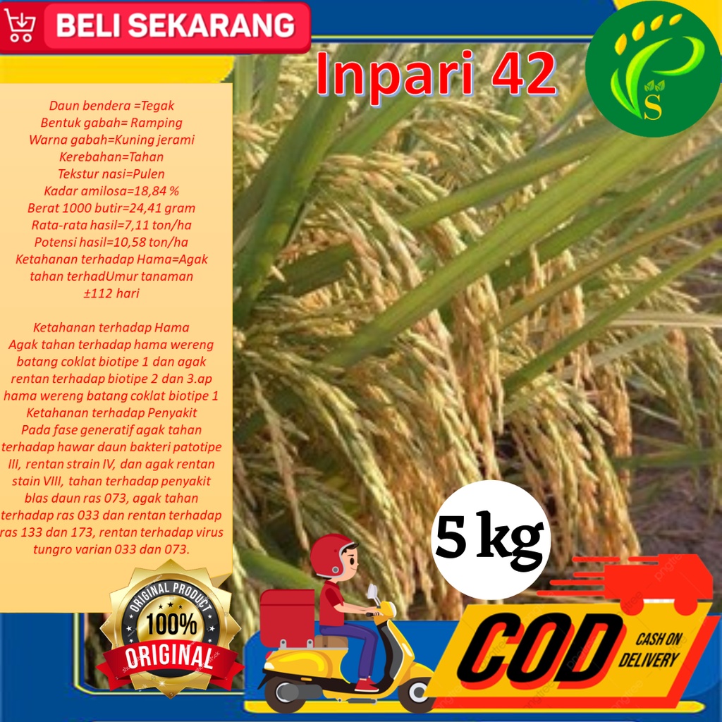Jual Biji Padi Benih inpari 42 Kemasan 5kg | Shopee Indonesia