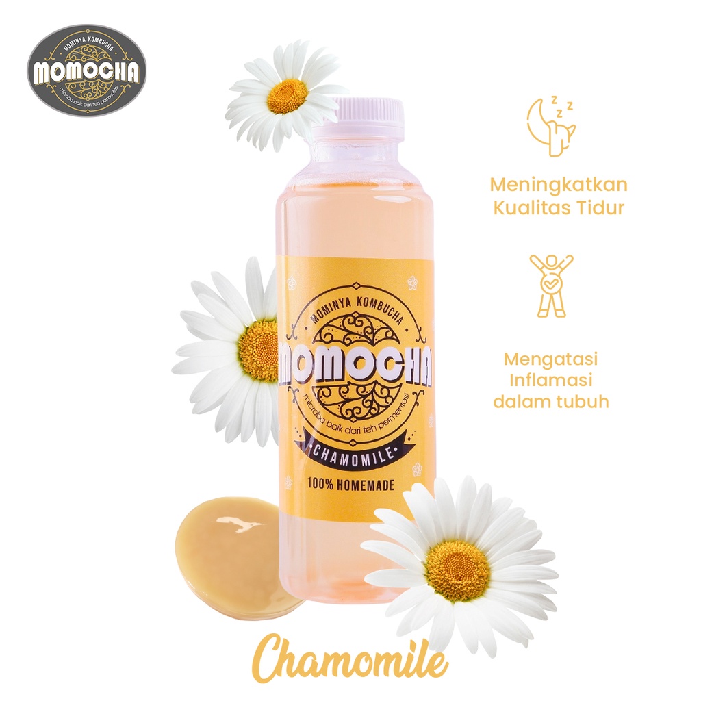 Jual MOMOCHA - Kombucha Chamomile 250ml | Shopee Indonesia