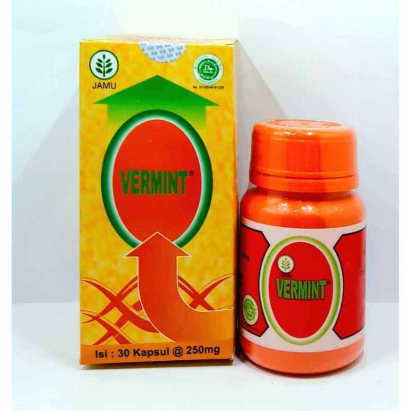 Jual Vermint | Vermin | Obat Penyakit Tifus / Tipes / Typus 30 Kapsul ...