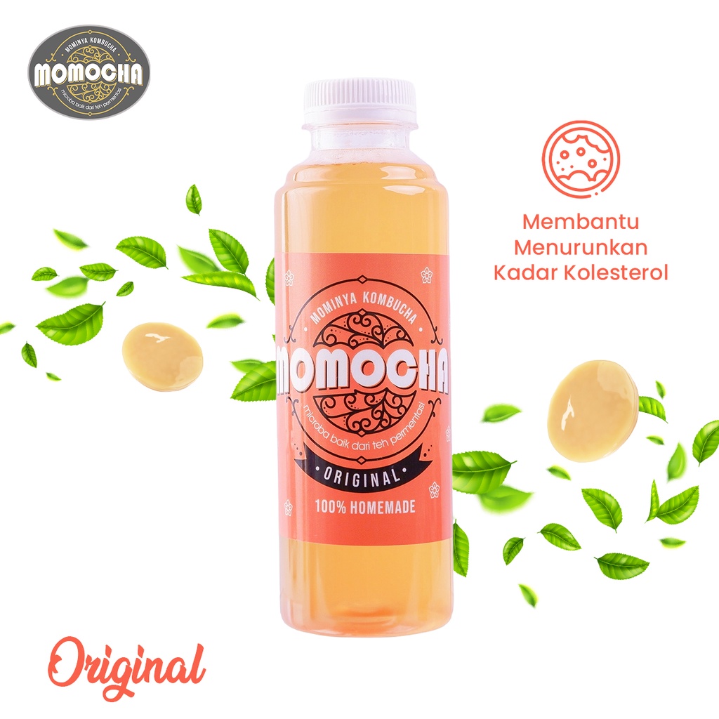 Jual MOMOCHA - Kombucha Original 250ml | Shopee Indonesia