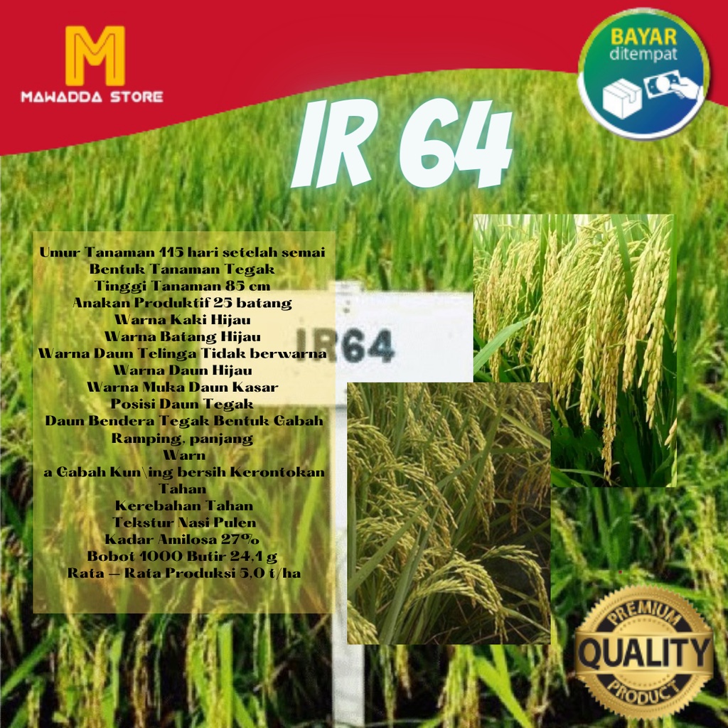 Jual Biji Padi Unggul Varietas IR 64 kemasan 5kg | Shopee Indonesia