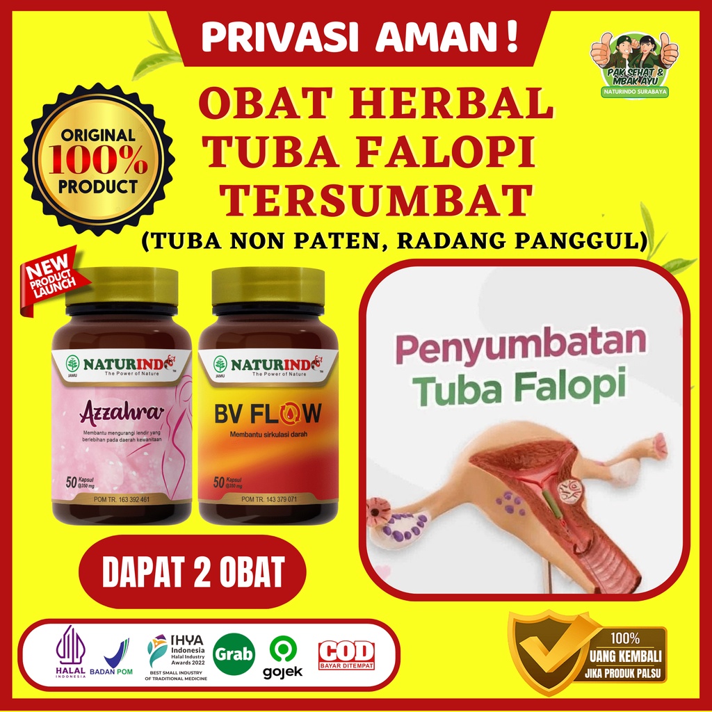 Jual Obat Herbal Tuba Falopi Tersumbat Saluran Tuba Bengkak ...