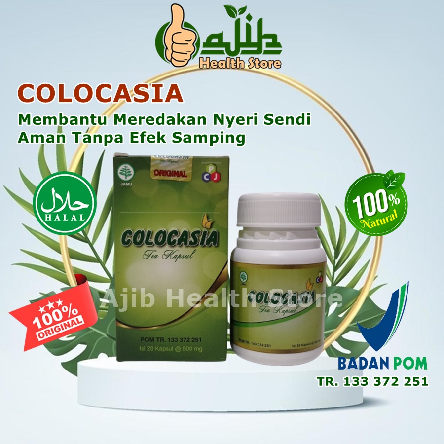 Jual Colocasia Asli Original Obat Herbal Nyeri Sendi Asam Urat Rematik ...