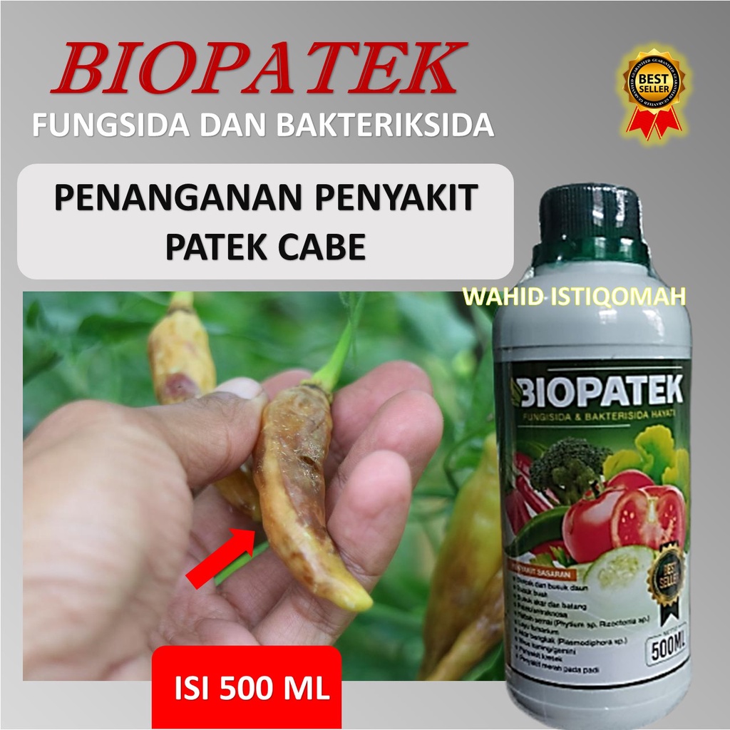 Jual PROMO BIOPATEK Fungisida Hama patek cabe rawit paling manjur dan ...