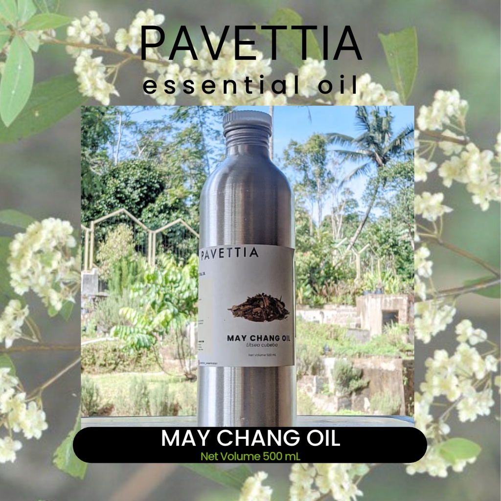 Jual 500 ml - Minyak atsiri kilemo (krangean) / may chang essential oil ...