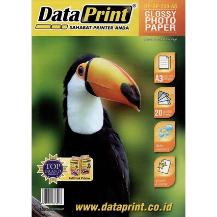 Jual Dataprint Glossy Photo Paper / Kertas Data Print 230 gsm A3 ...
