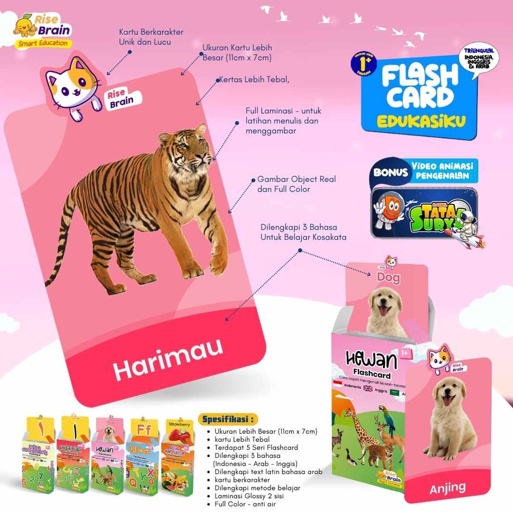 Jual FLASH CARD TEMA HEWAN ANAK FLASH CARD EDUKASI ANAK MURAH TEBAL ...