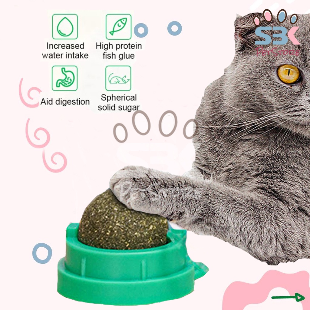 Jual Catnip Bola Tempel Mainan Kucing | Shopee Indonesia Jual Catnip Bola Tempel Mainan Kucing | Shopee Indonesia