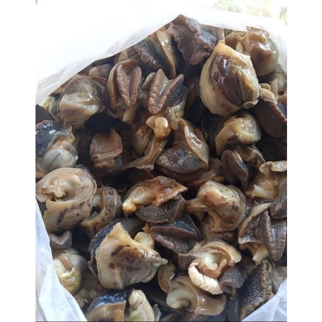 Jual daging bekicot 1kg | Shopee Indonesia