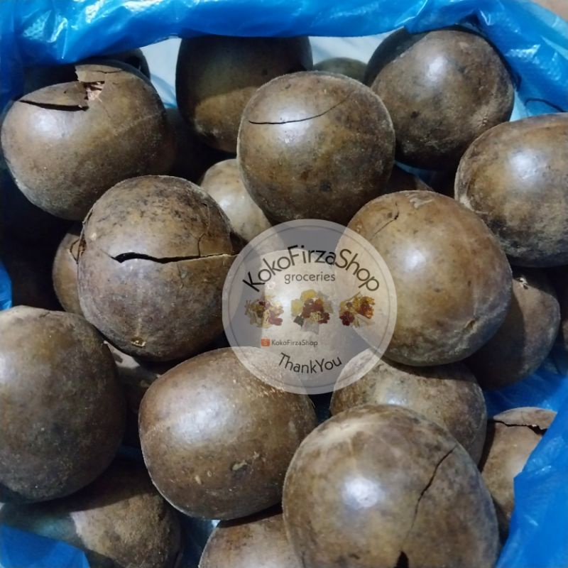 Jual Buah Lohanko Retak / Lohan kuo Pecah | Shopee Indonesia