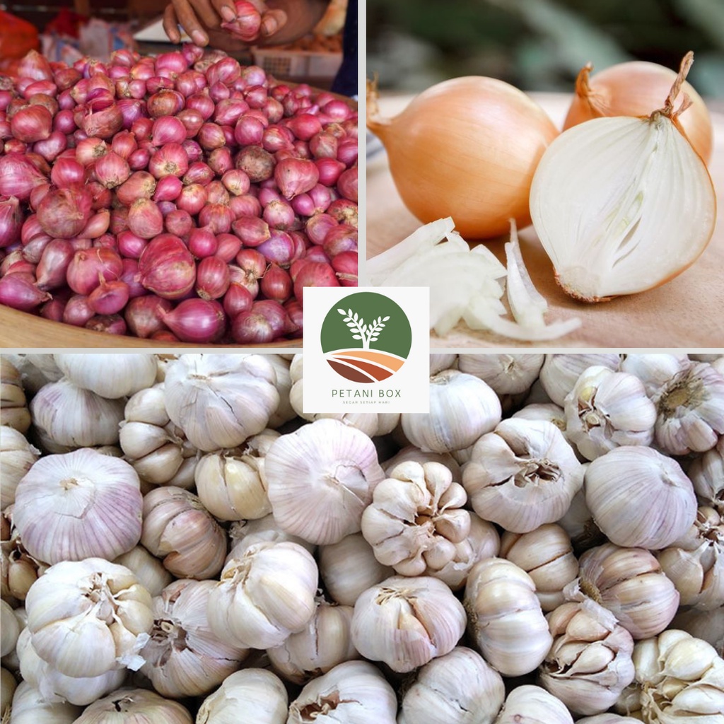 Jual Bawang Merah / Putih / Bombay Sayuran Segar Kota Bandung Petani ...