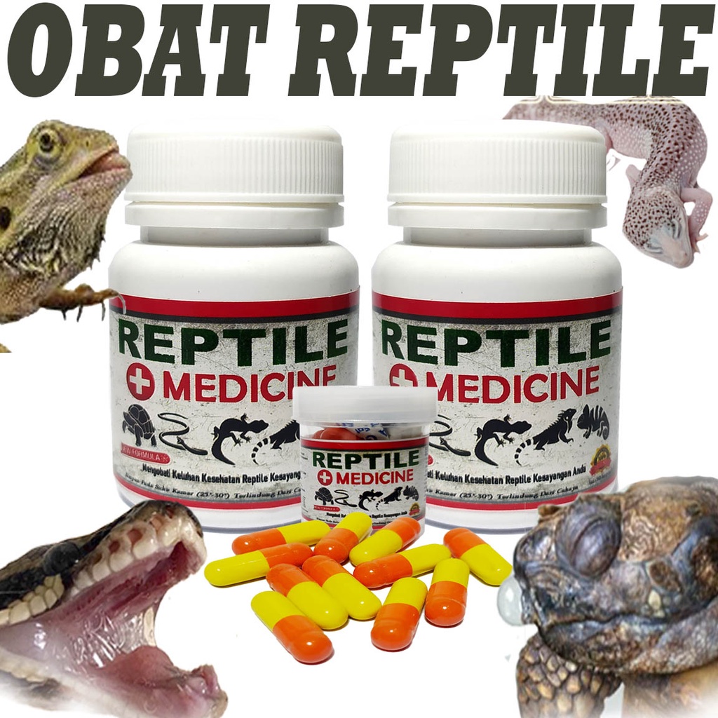 Jual OBAT SUPLEMEN REPTILE MEDICINE VITAMIN LEMAS PILEK PNEMONIA MBD ...