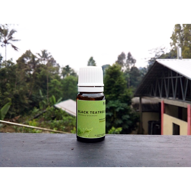 Jual 10 ml - Minyak black tea tree - black tea tree oil (Melaleuca ...