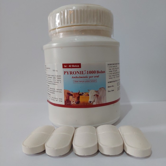 Jual PYRONIL 1000MG 1 BOLUS 1 TABLET PYRIDAM OBAT CACING CACINGAN HEWAN ...