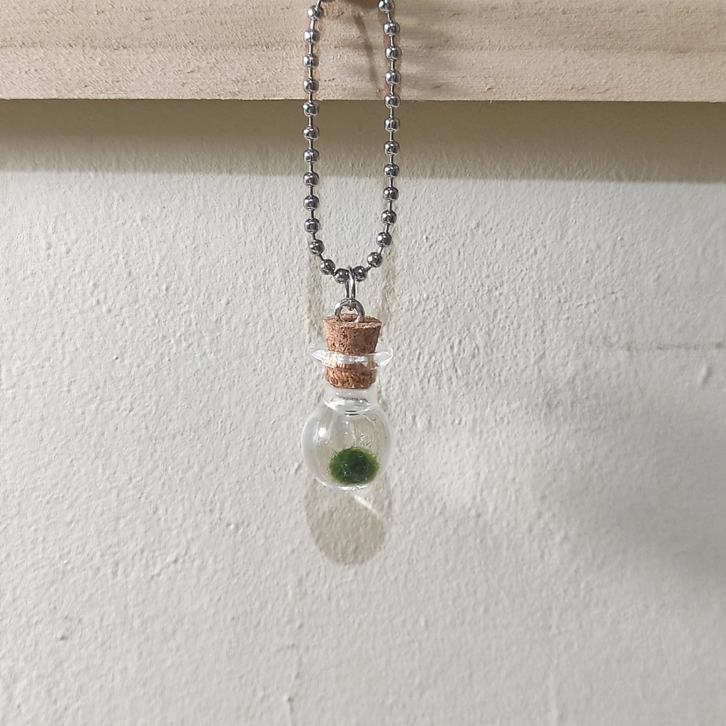 Jual [DIY] Tiny Marimo - Keychain Micromarimo | Shopee Indonesia