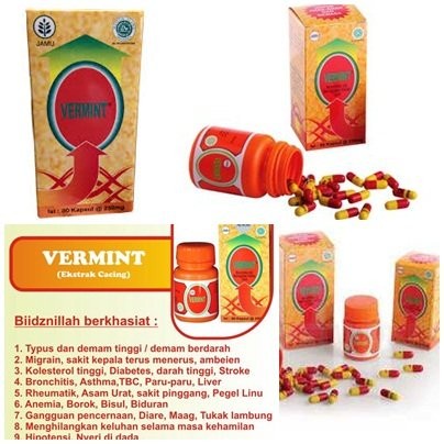 Jual Vermint Kapsul Cacing isi 12 Kapsul Obat Types/ Typus, Demam ...