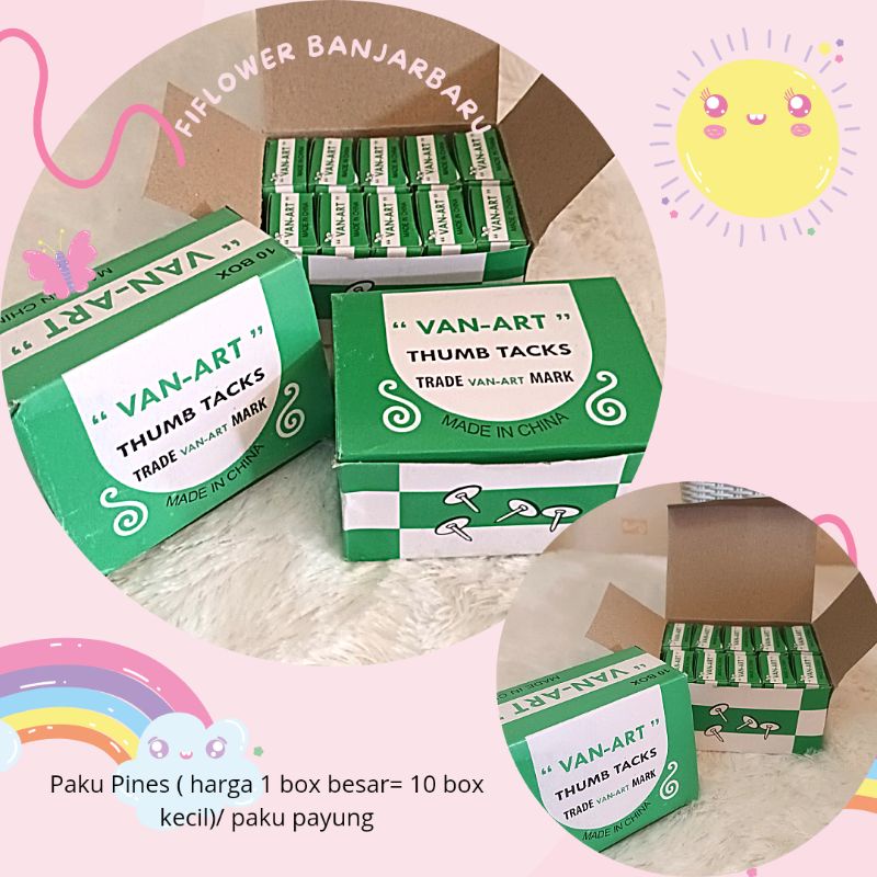 Jual Paku Pines ( harga 1 box besar= 10 box kecil)/ paku payung ...