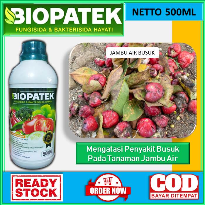 Jual OBAT BUSUK TANAMAN JAMBU AIR [BIOPATEK] OBAT CAIR 500ML FUNGISIDA ...