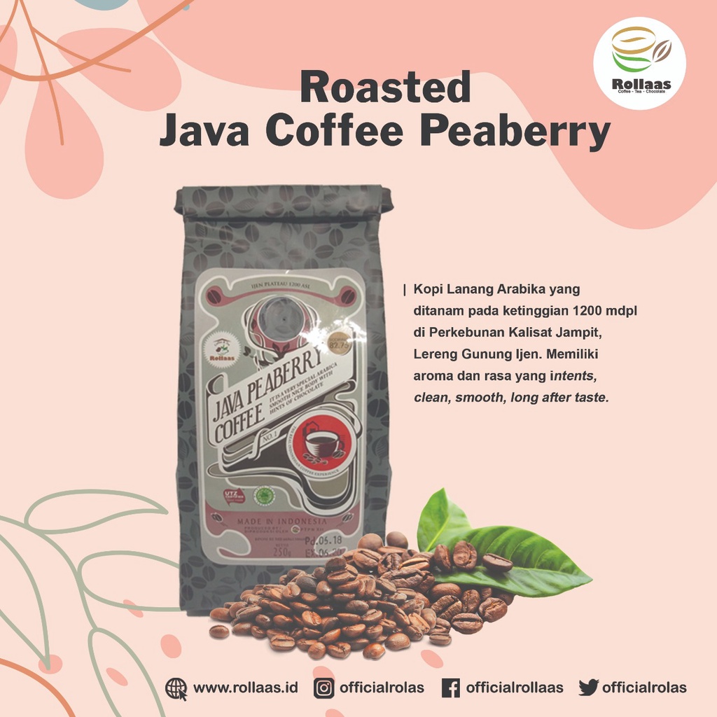 Jual Kopi Arabica Ijen Premium Spesial Peaberry 250 Gr - Rollaas Java ...