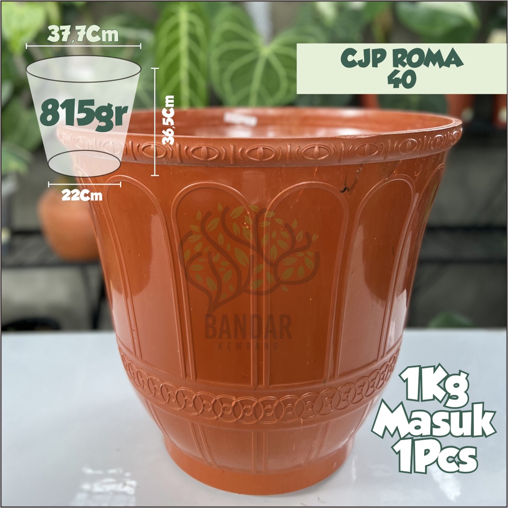 Jual pot bibit bunga tanaman hias CJP Roma 40 untuk hiasan dekorasi ...