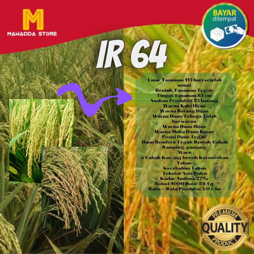 Jual Benih Padi Unggul Varietas IR 64 kemasan 5kg | Shopee Indonesia