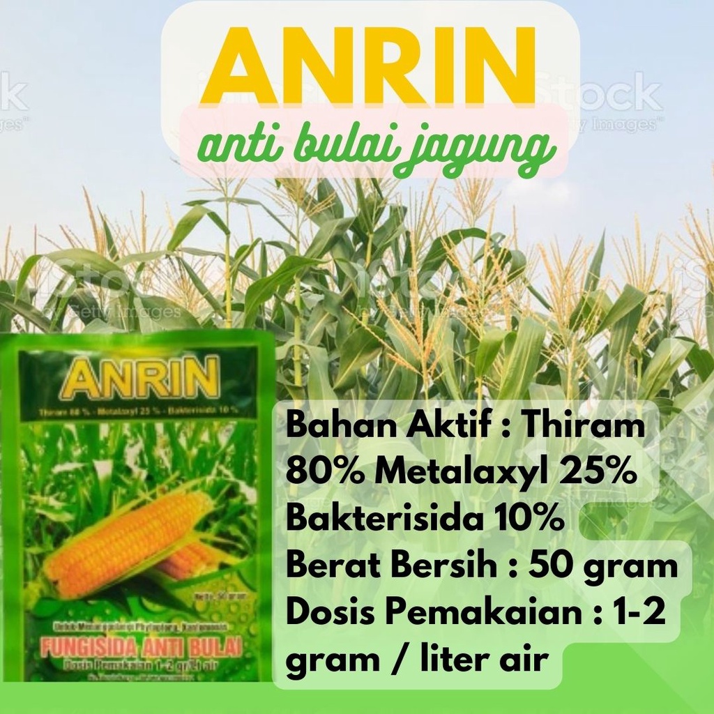 Jual Fungisida Tanaman Jagung / Anrin Anti Bulai Jamur Obat Bulay ...